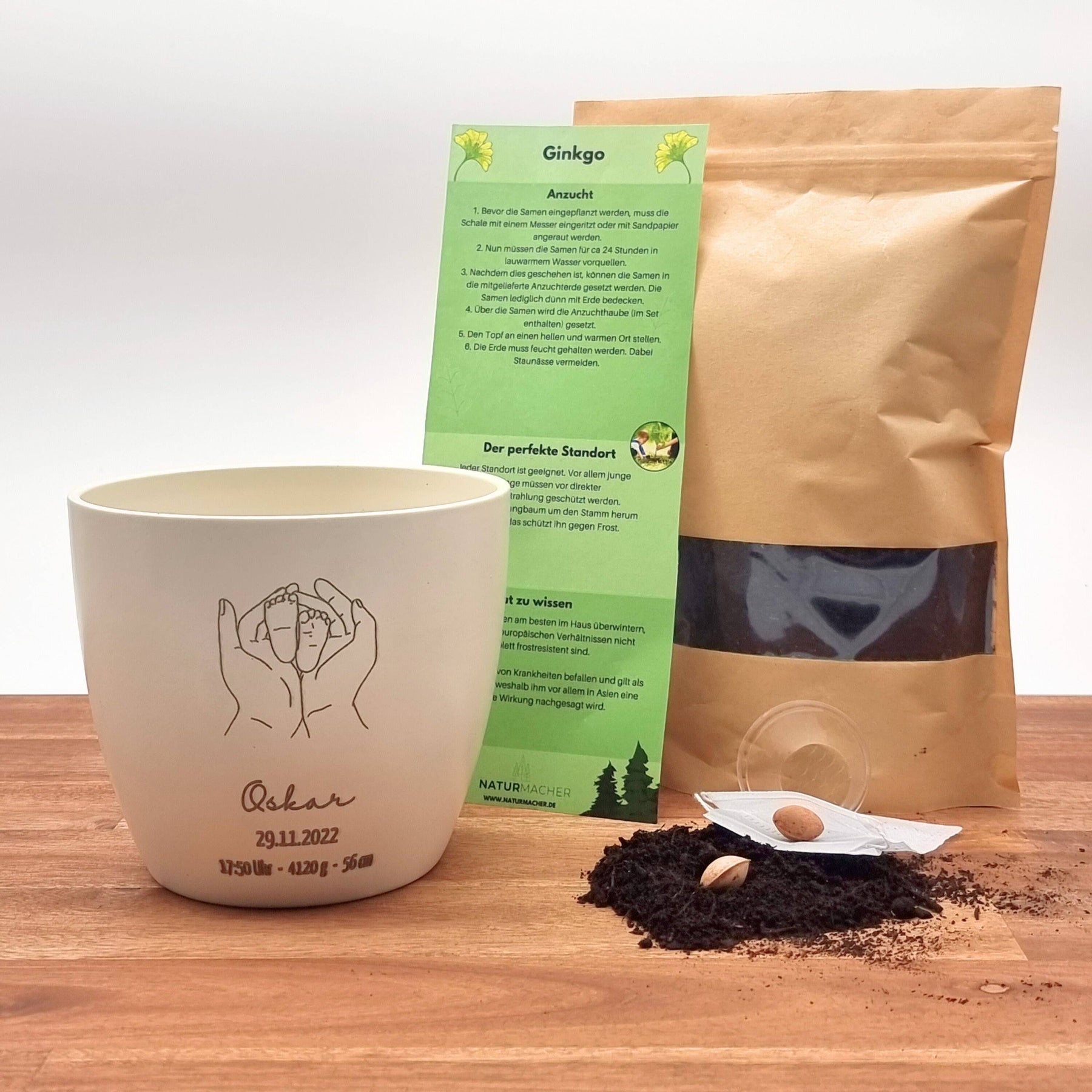 Insektenhotel bauen mit Kindern – einfache Anleitung – Naturmacher